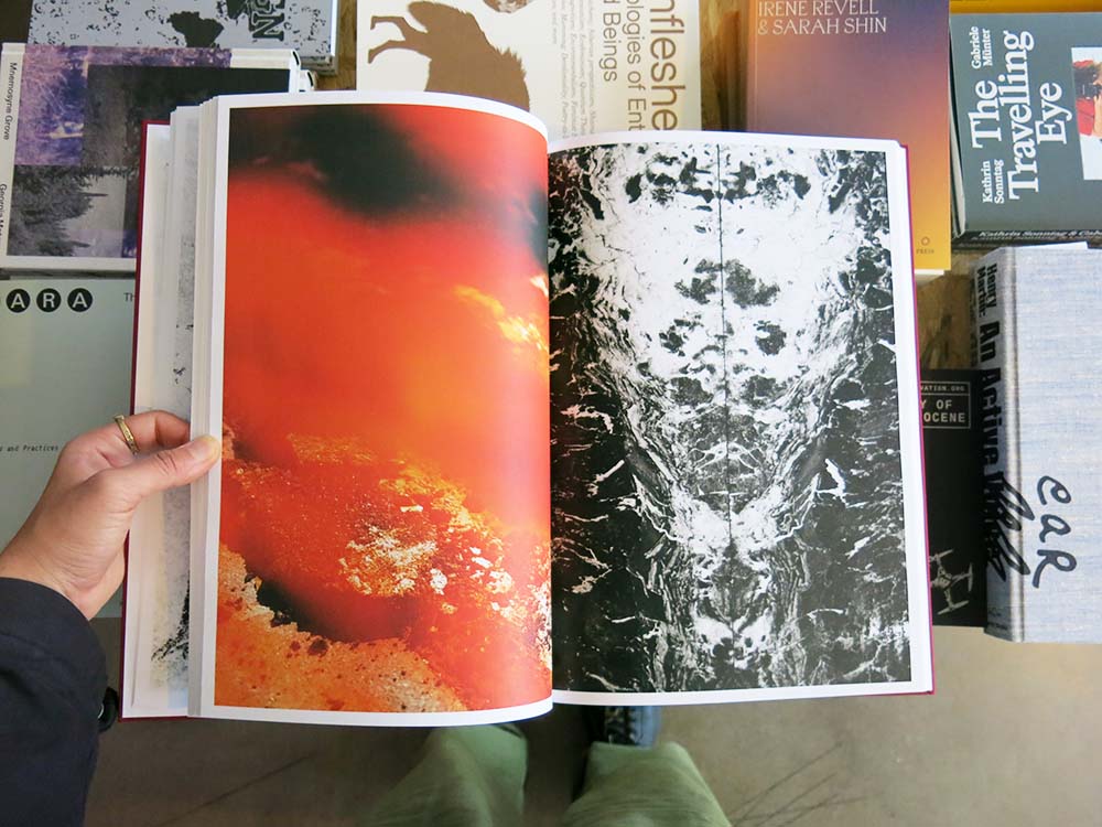 David Jiménez – ROMA – Perimeter Books