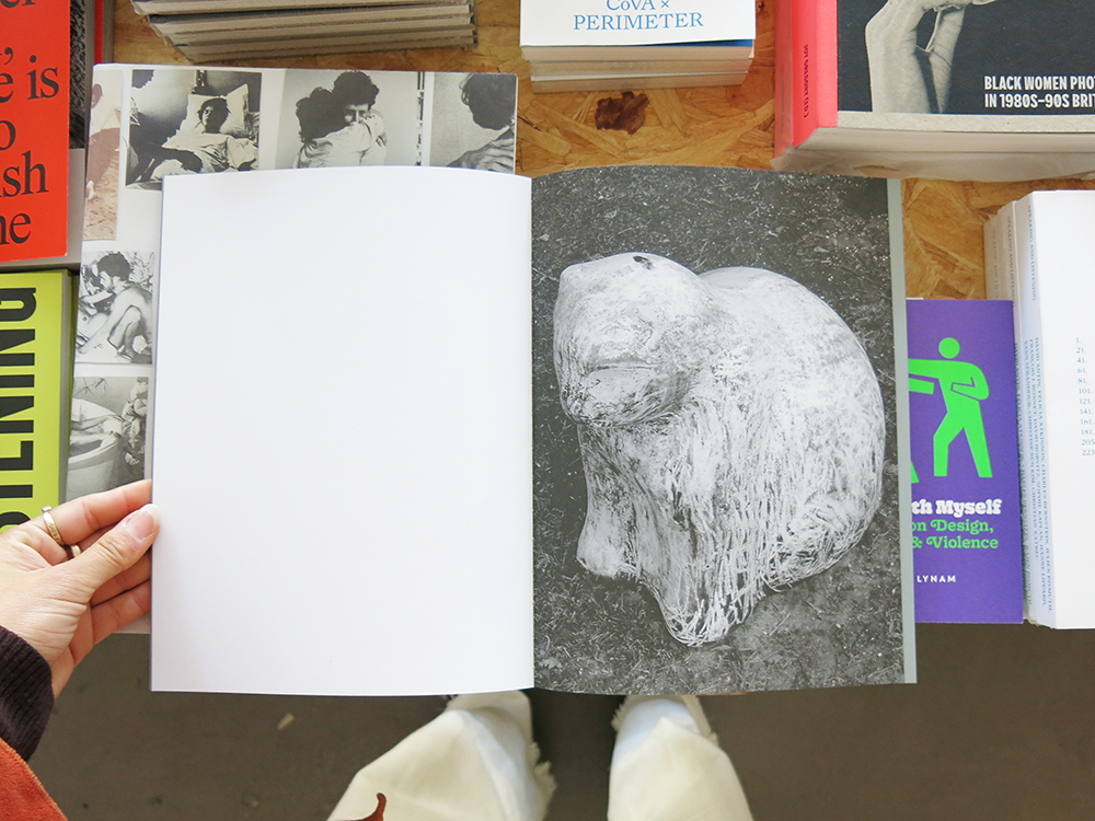 Bertrand Cavalier – Permanent Concern – Perimeter Books