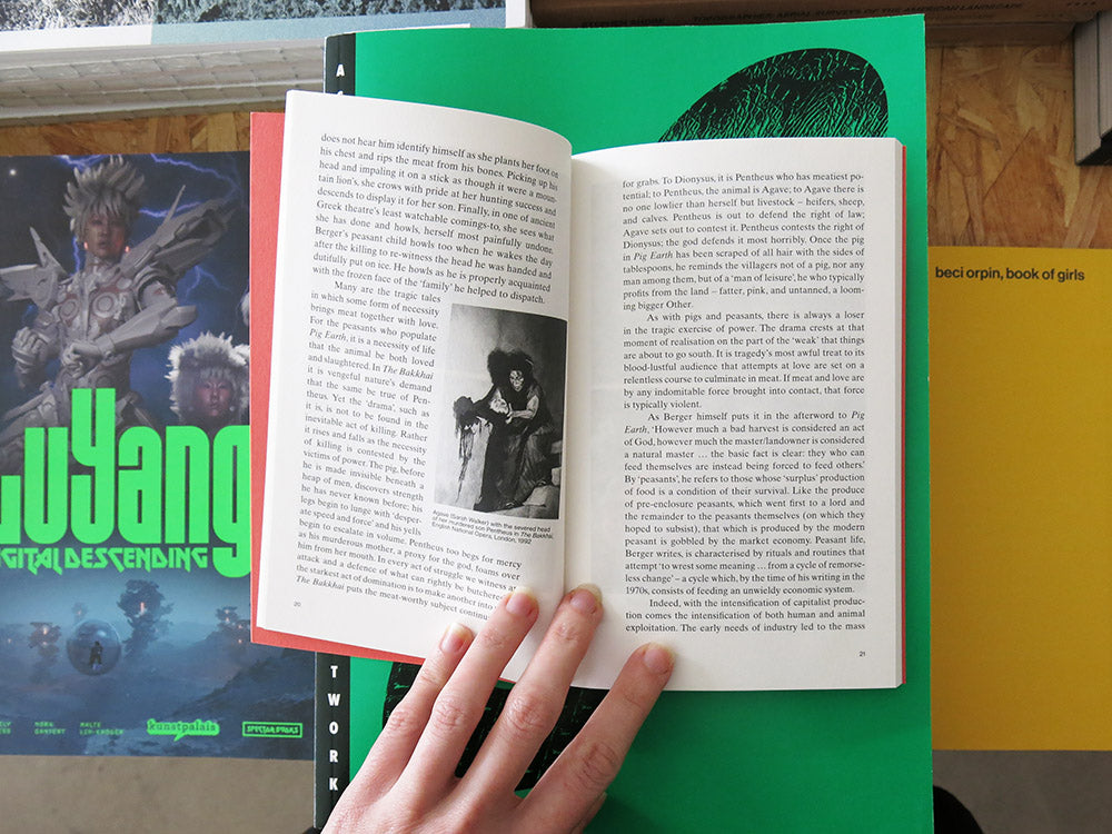 Amber Husain – Meat Love: An Ideology of the Flesh – Perimeter Books