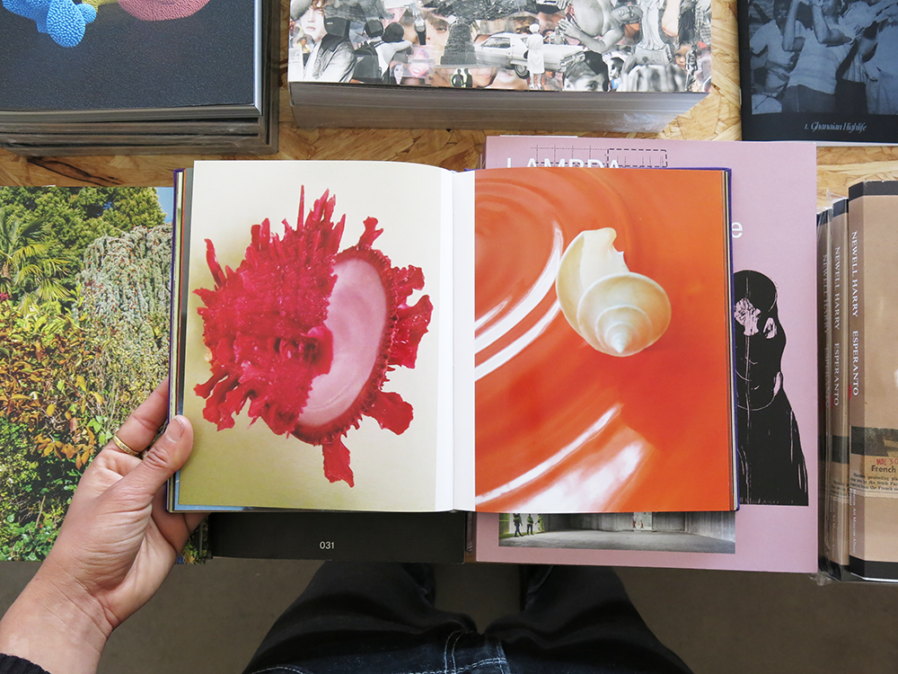 Barry Rosen – See Shells – Perimeter Books