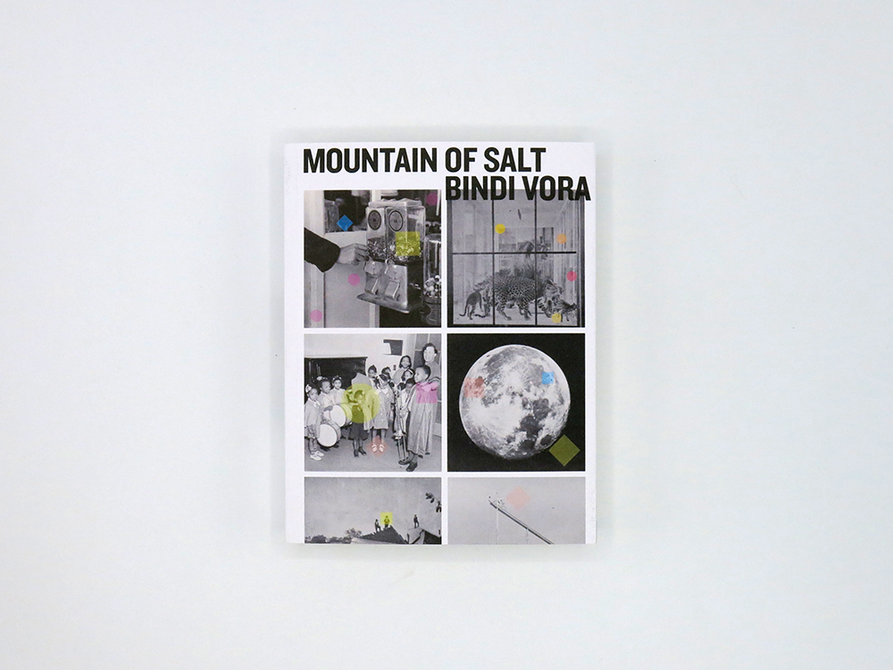 Bindi Vora – Mountain of Salt – Perimeter Books