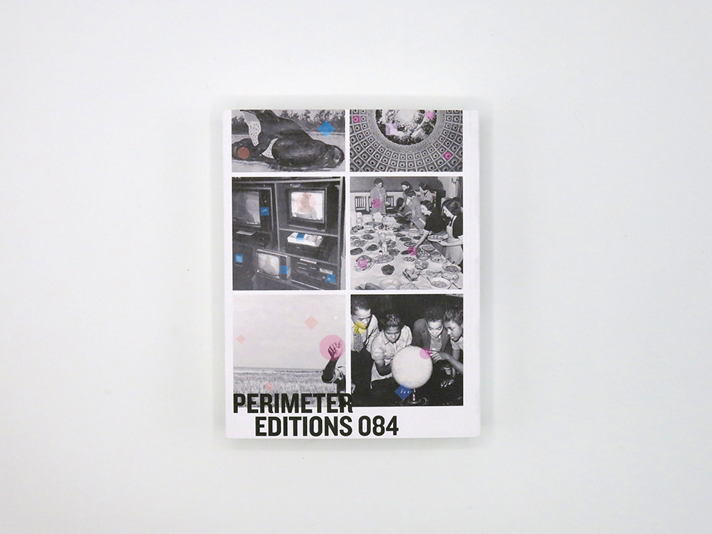 Bindi Vora – Mountain of Salt – Perimeter Books