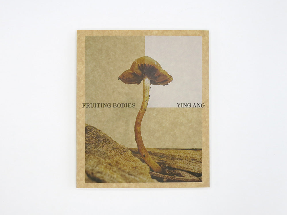 Ying Ang – Fruiting Bodies – Perimeter Books