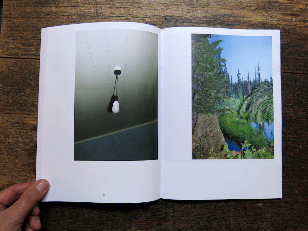 Emma Phillips – A light on the wall – Perimeter Books
