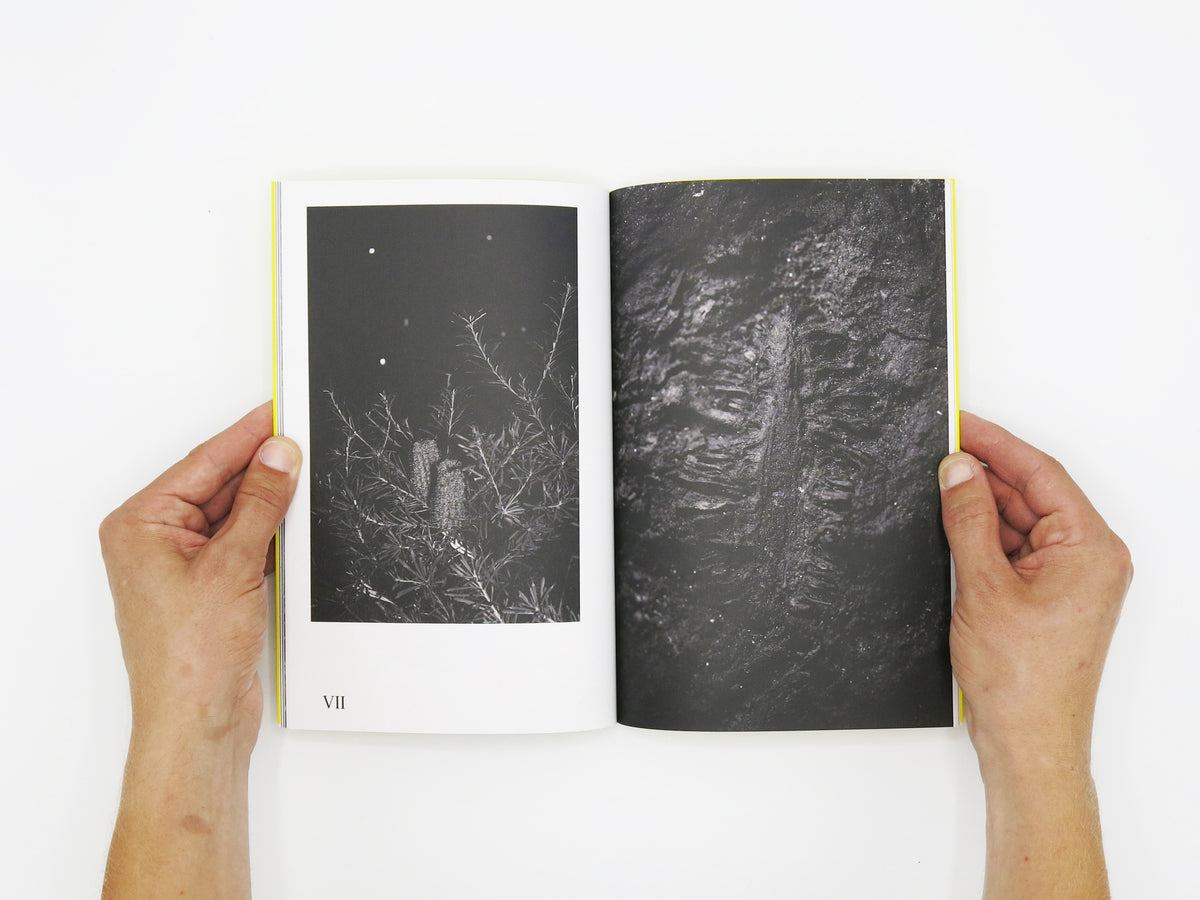 Felix Wilson – Nocturnal Ecologies – Perimeter Books