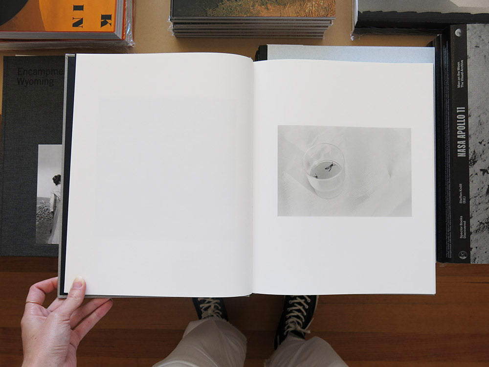 Jesse Lenz – The Locusts – Perimeter Books