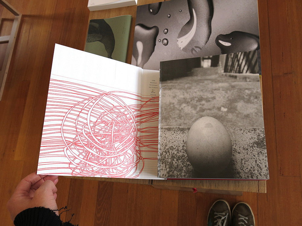 Catherine de Zegher - Women's work is never done – Perimeter Books