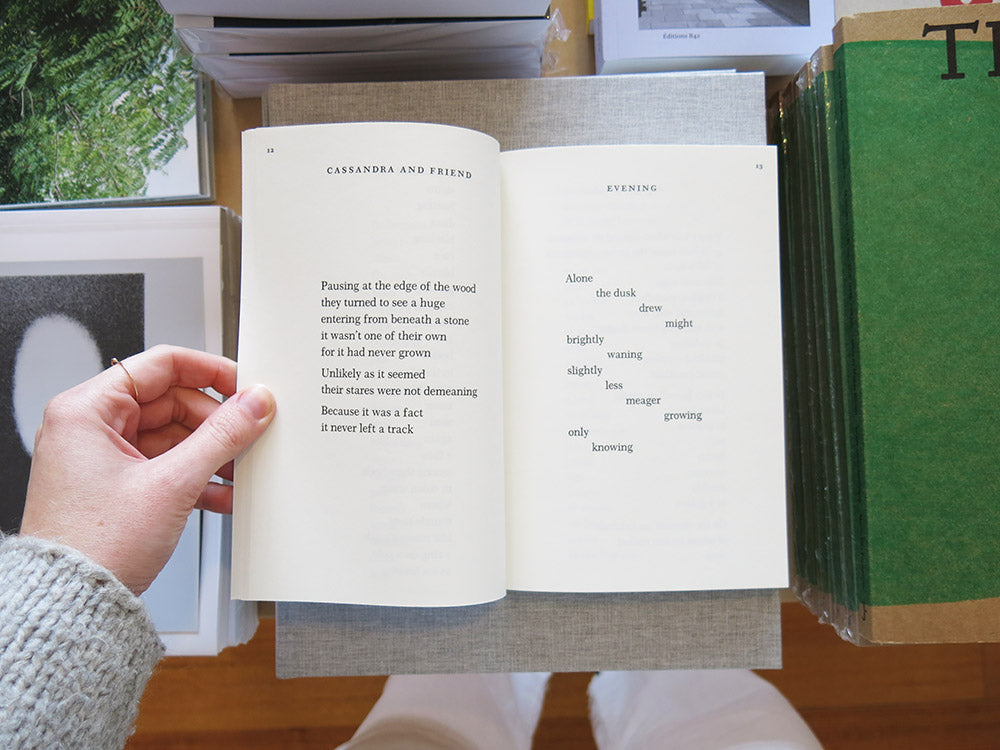 Norman H. Pritchard – The Matrix Poems 1960-1970 – Perimeter Books