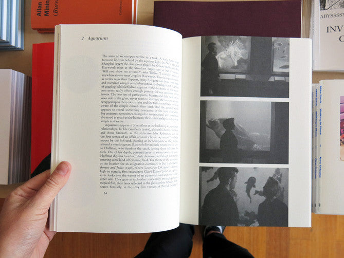 William Firebrace - Memo For Nemo – Perimeter Books