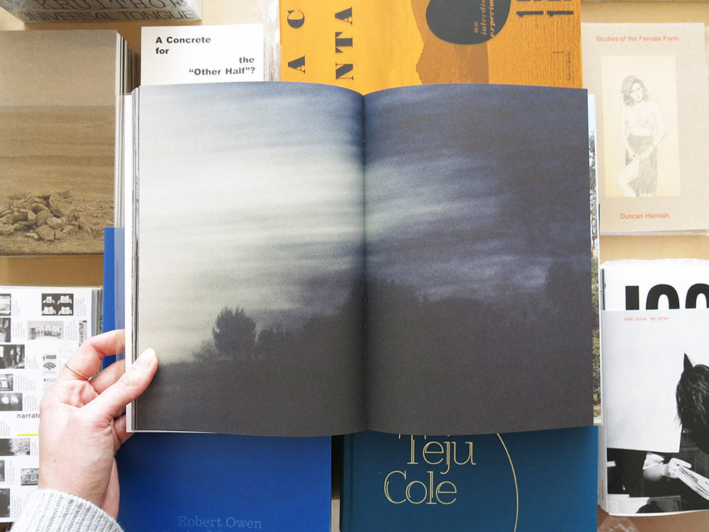 Nick Haymes – The Last Survivor is the First Suspect – Perimeter Books