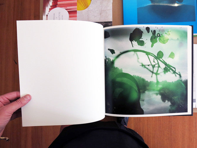 Stephen Gill - Talking to Ants – Perimeter Books