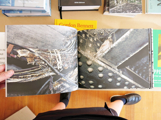 Stephen Gill - Pigeons – Perimeter Books