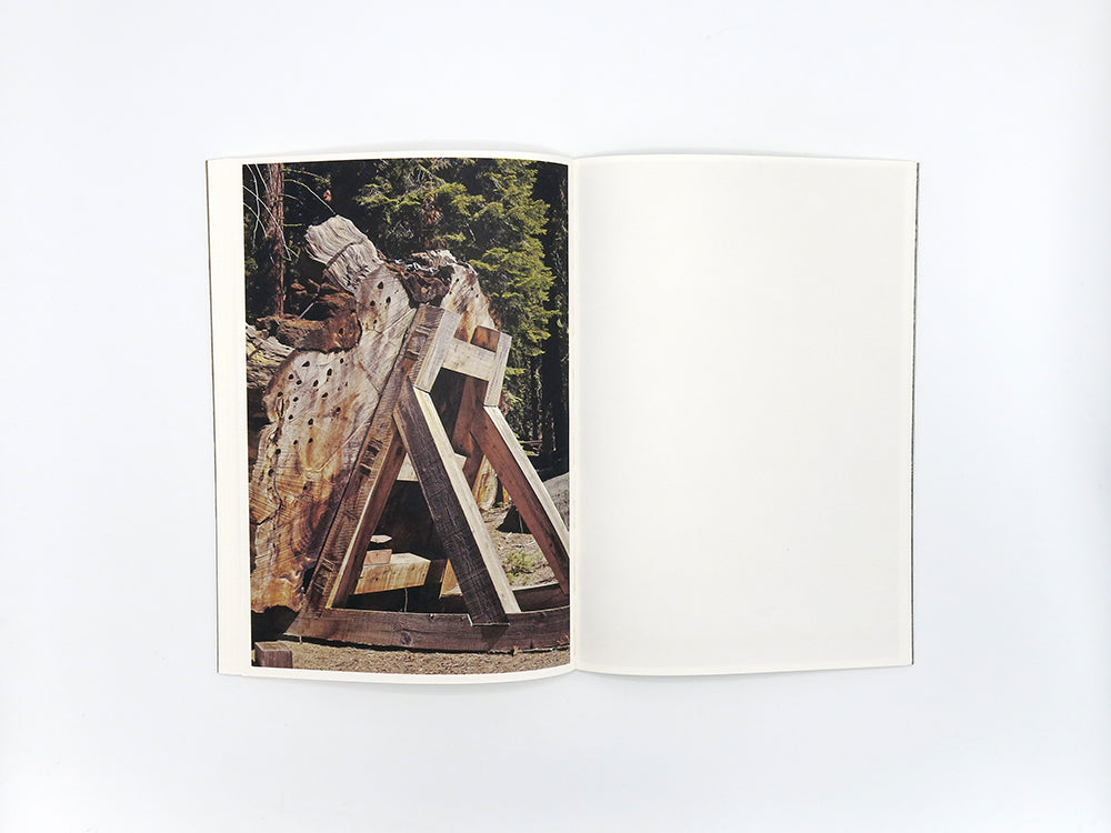 Danielle Mericle – The Dark Wood – Perimeter Books