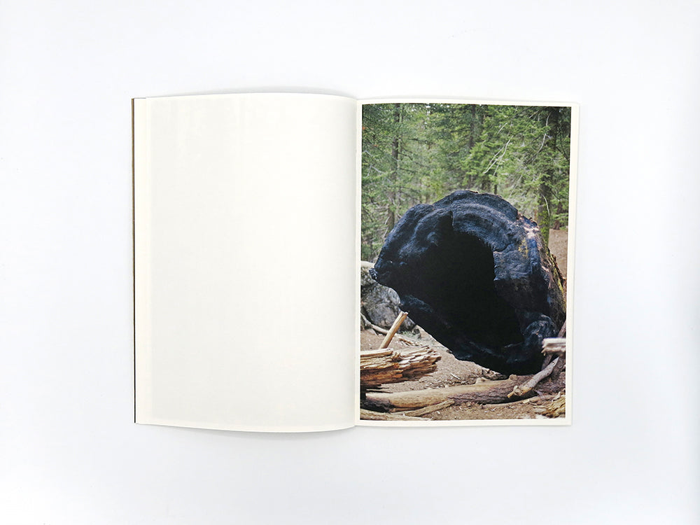 Danielle Mericle – The Dark Wood – Perimeter Books